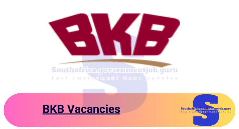BKB New X1 Job Opportunities Available Today for 2025 and Apply Now ...